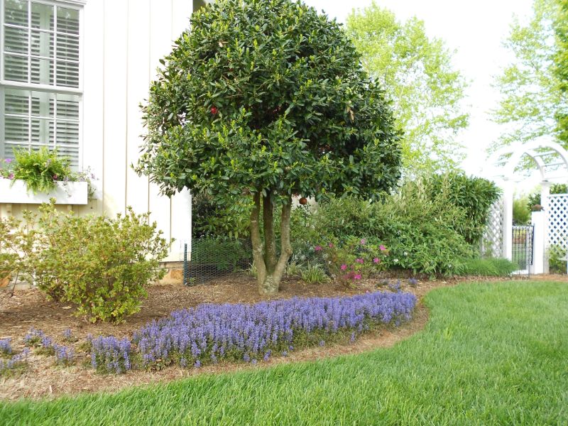 Gardens | Davidson Landscape Nursery