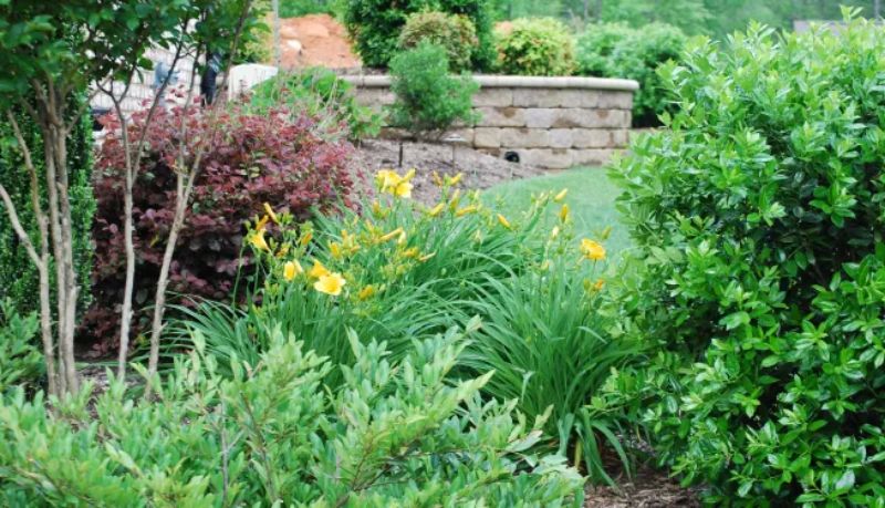 Gardens | Davidson Landscape Nursery